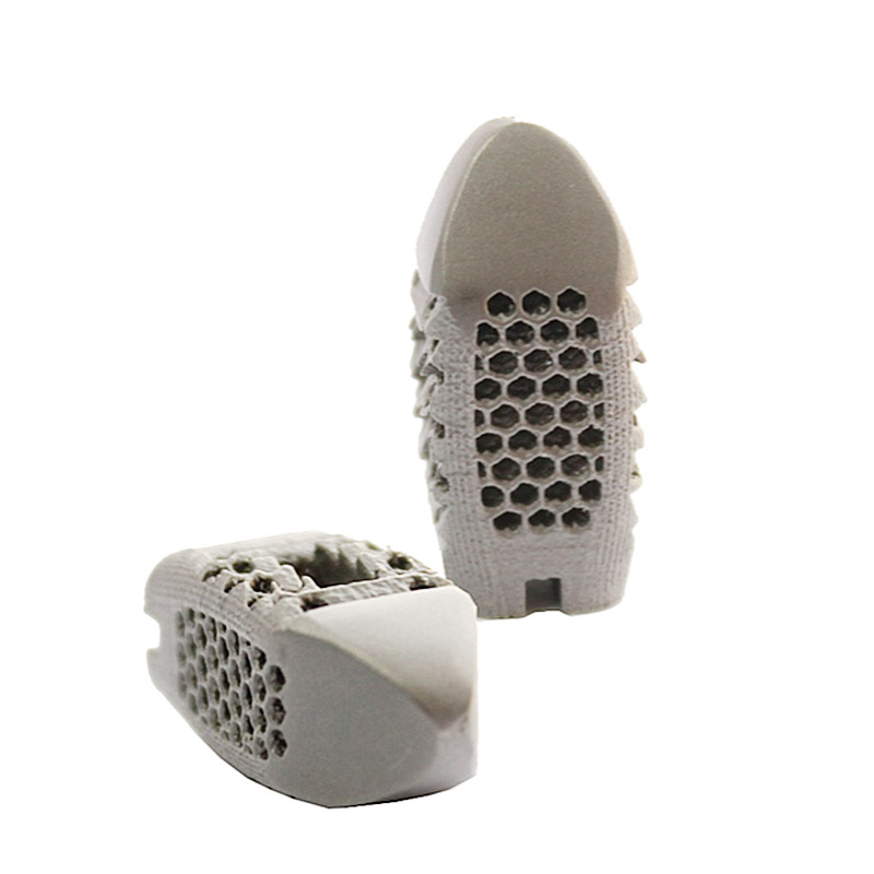 Lumbar Cage ( Plif ) - نیکاد